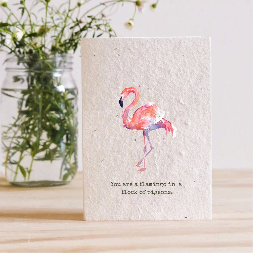 Flamingo Plantable Seed Card – Choice Boutique